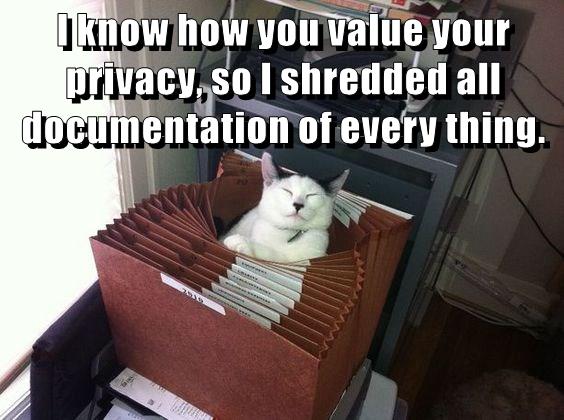 Why Thank You Lolcats Lol Cat Memes Funny Cats