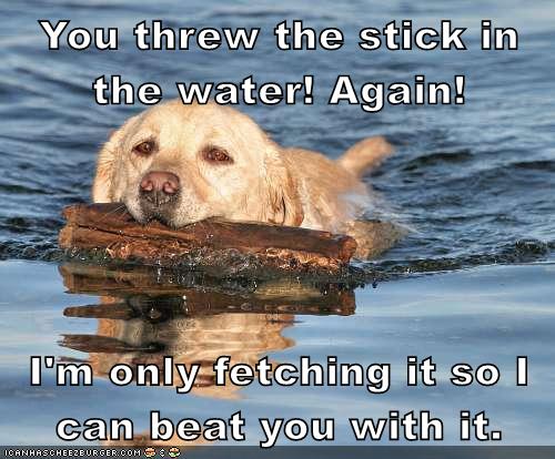 I Has A Hotdog - stick - Funny Dog Pictures | Dog Memes | Puppy ...