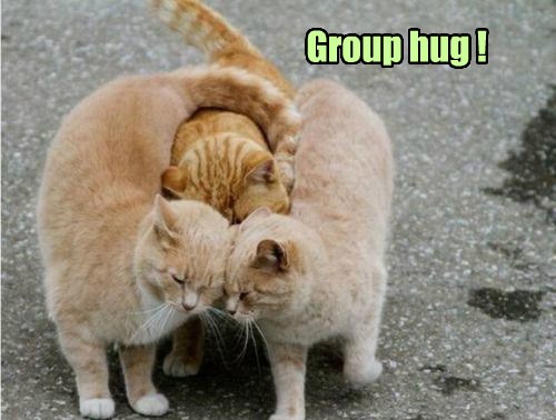 Lolcats - group - LOL at Funny Cat Memes - Funny cat pictures with ...
