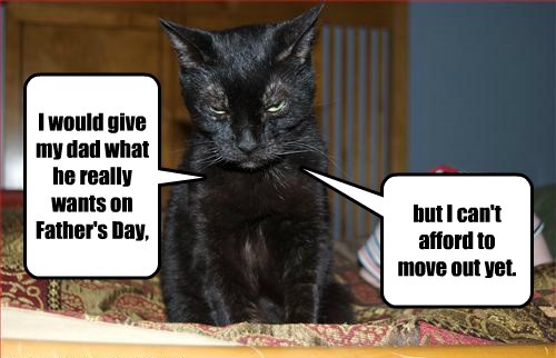 Lolcats - fathers day - LOL at Funny Cat Memes - Funny cat pictures ...