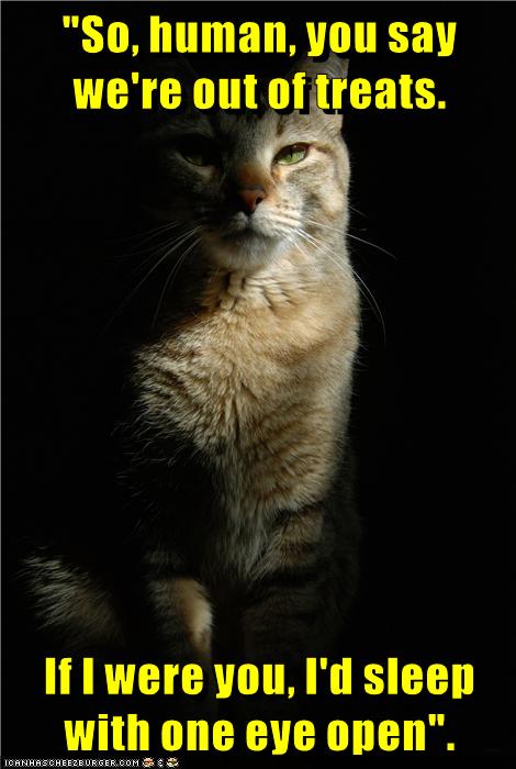 Lolcats - threat - LOL at Funny Cat Memes - Funny cat pictures with ...