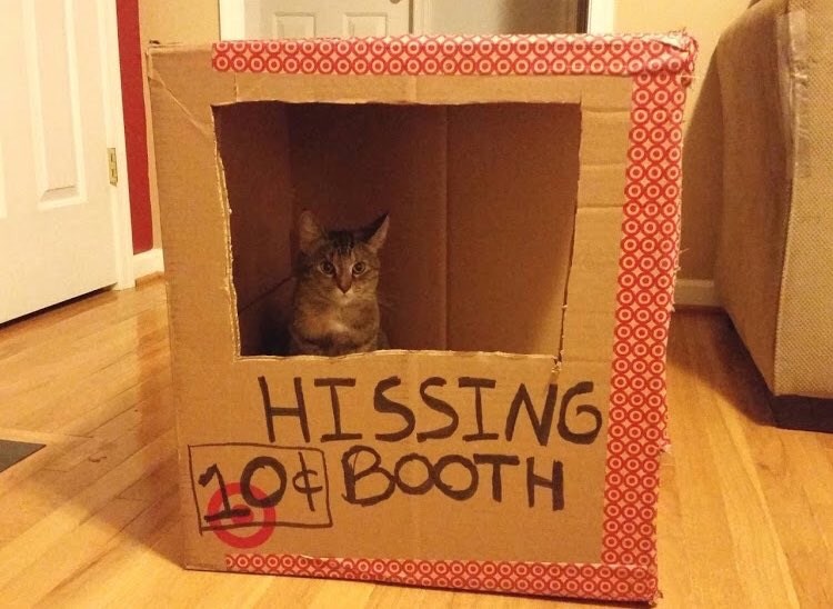 Kissing's Overrated, Anyway - I Can Has Cheezburger?