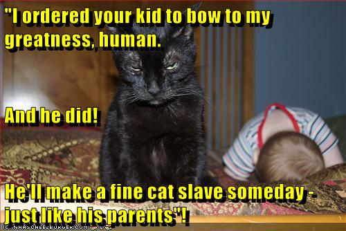 Lolcats - slave - LOL at Funny Cat Memes - Funny cat pictures with ...