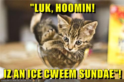 All I Need Is Some Whippy Cream and a Cherry on Top! - Lolcats - lol ...