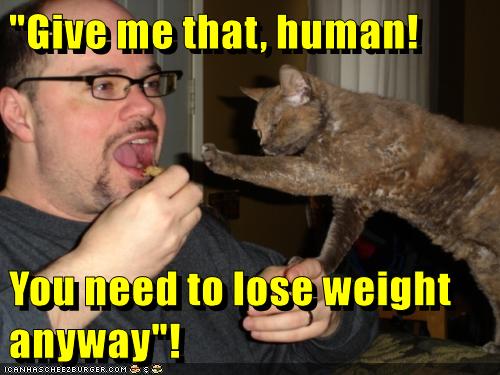 Lolcats - weight - LOL at Funny Cat Memes - Funny cat pictures with ...