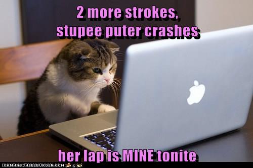 Lolcats - lap - LOL at Funny Cat Memes - Funny cat pictures with words ...