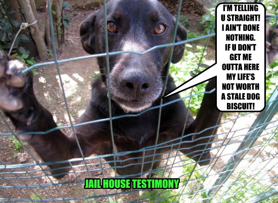 I Has A Hotdog - jail - Funny Dog Pictures | Dog Memes | Puppy Pictures ...