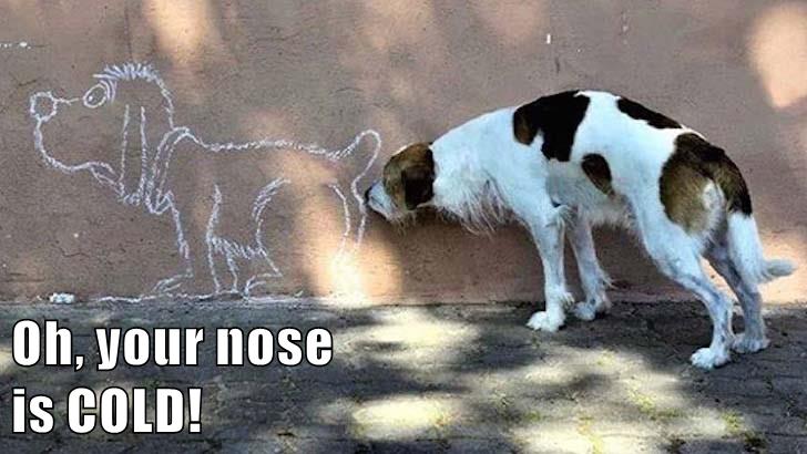 I Has A Hotdog - cold - Funny Dog Pictures | Dog Memes | Puppy Pictures ...