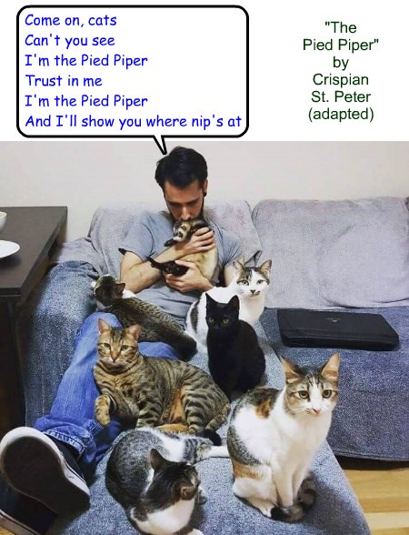 "The Pied Piper" by Crispian St. Peter (adapted) - Lolcats - lol | cat ...