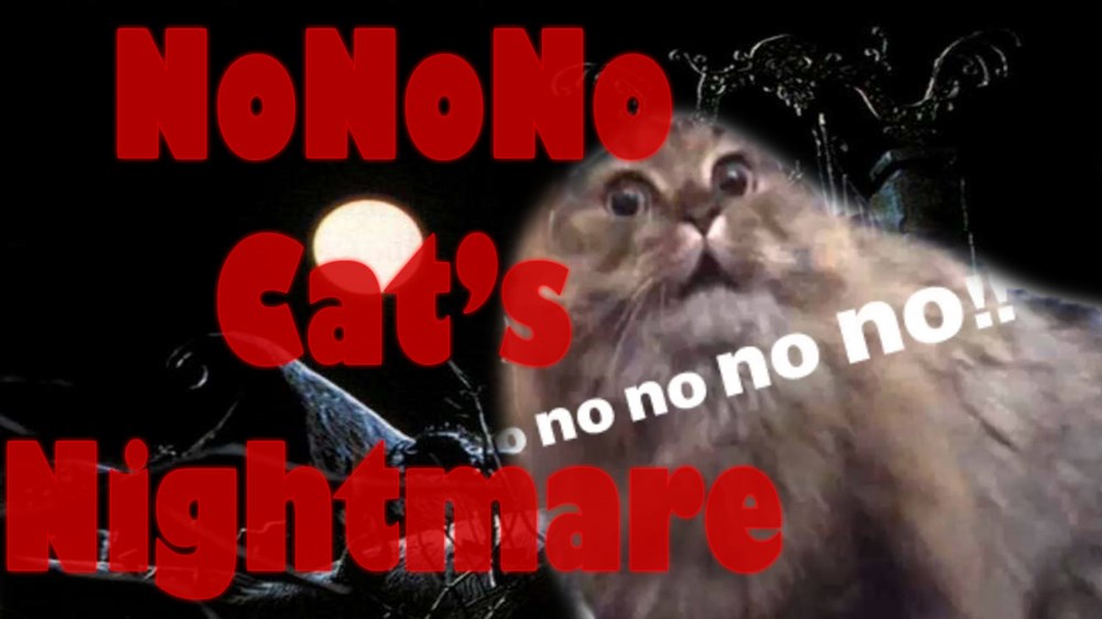 No No No Cat's Nightmare - Lolcats - lol | cat memes | funny cats ...