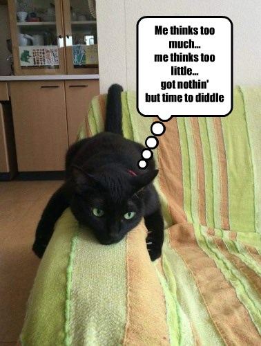 "Sir Think A Lot" - Lolcats - lol | cat memes | funny cats | funny cat ...