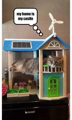 Kitteh Castle - Lolcats - lol | cat memes | funny cats | funny cat ...