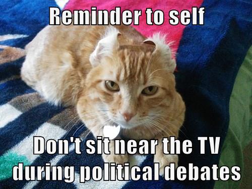 Lolcats - political - LOL at Funny Cat Memes - Funny cat pictures with ...