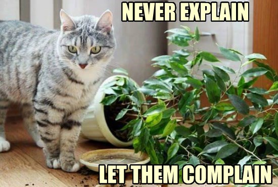 NEVER EXPLAIN LET THEM COMPLAIN - Lolcats - lol | cat memes | funny ...