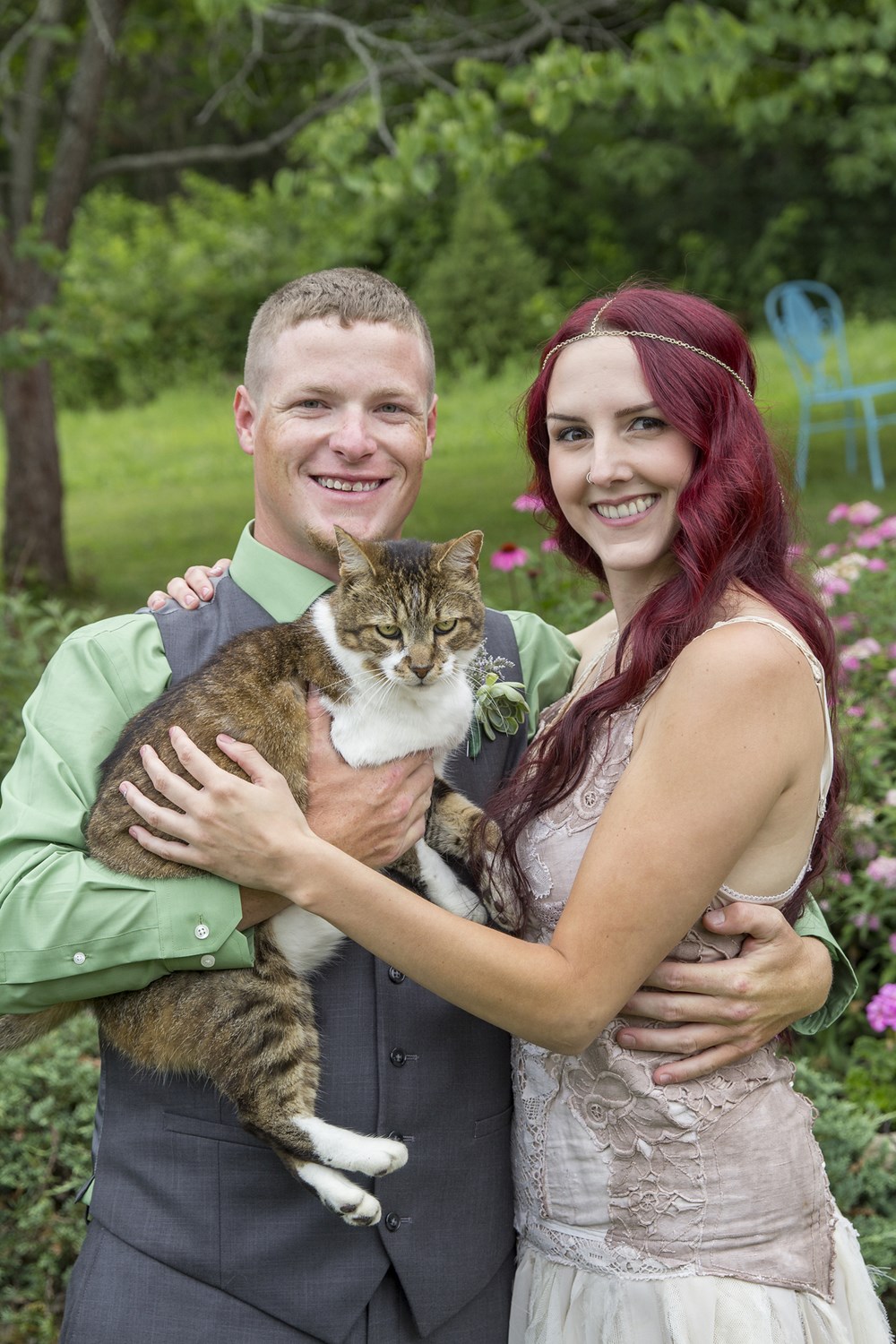 Cats N' Kittens - family - Cutest Cats On The Internet - Cat Pictures ...