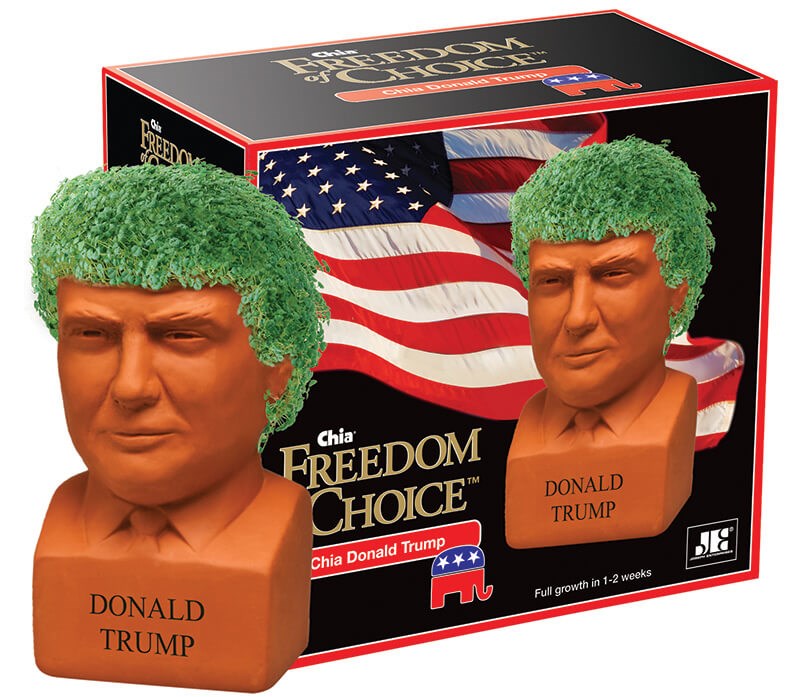 Donald Trump Chia Pet. Thank you, Internet. - Politics - political memes
