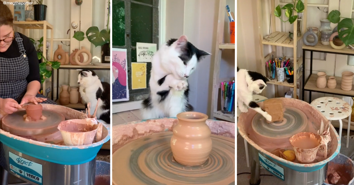 Wonder Woman Cat Lady Makes Beautiful Pottery With Her Cat - I Can Has ...