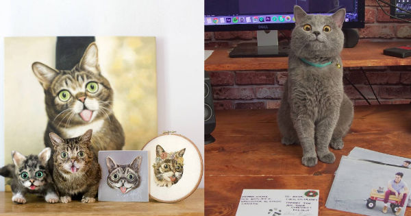 Celebrate International Cat Day With This List of Our Favorite Internet ...