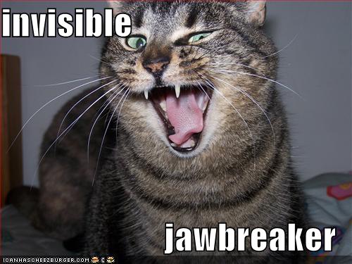 invisible jawbreaker - Cheezburger - Funny Memes | Funny Pictures