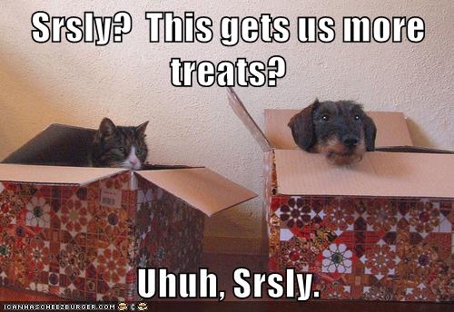 Srsly? This gets us more treats? Uhuh, Srsly. - I Has A Hotdog - Dog ...