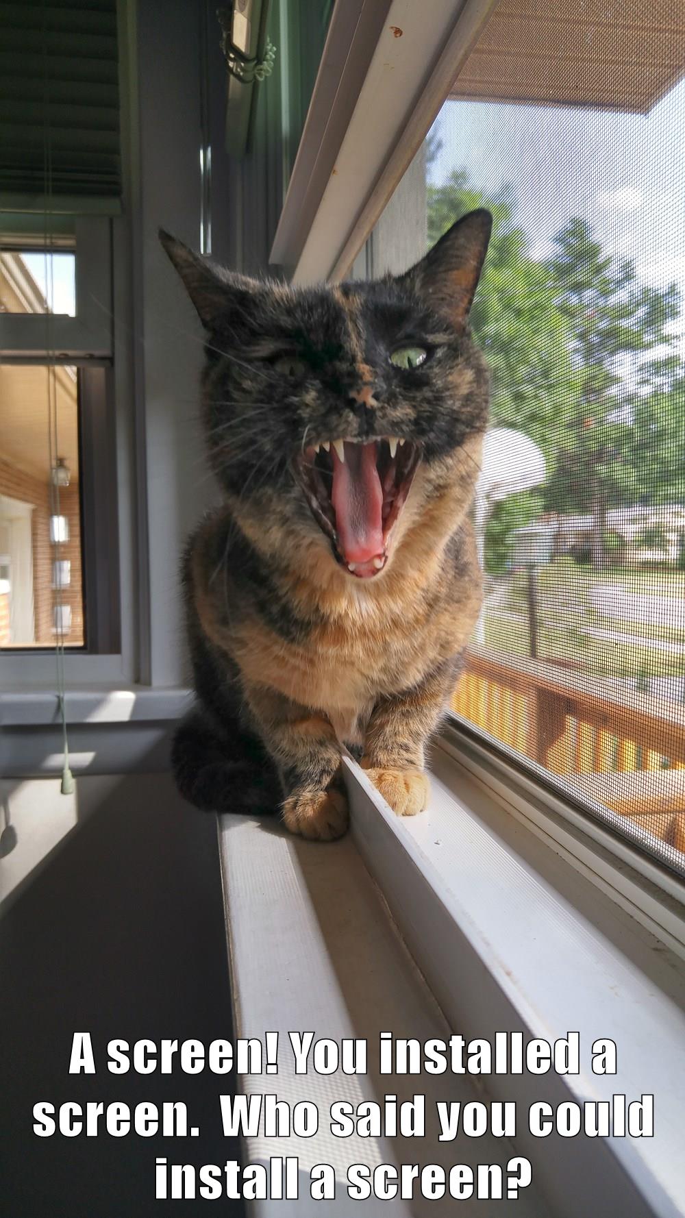 A screen! You installed a screen. Who said you could install a screen ...