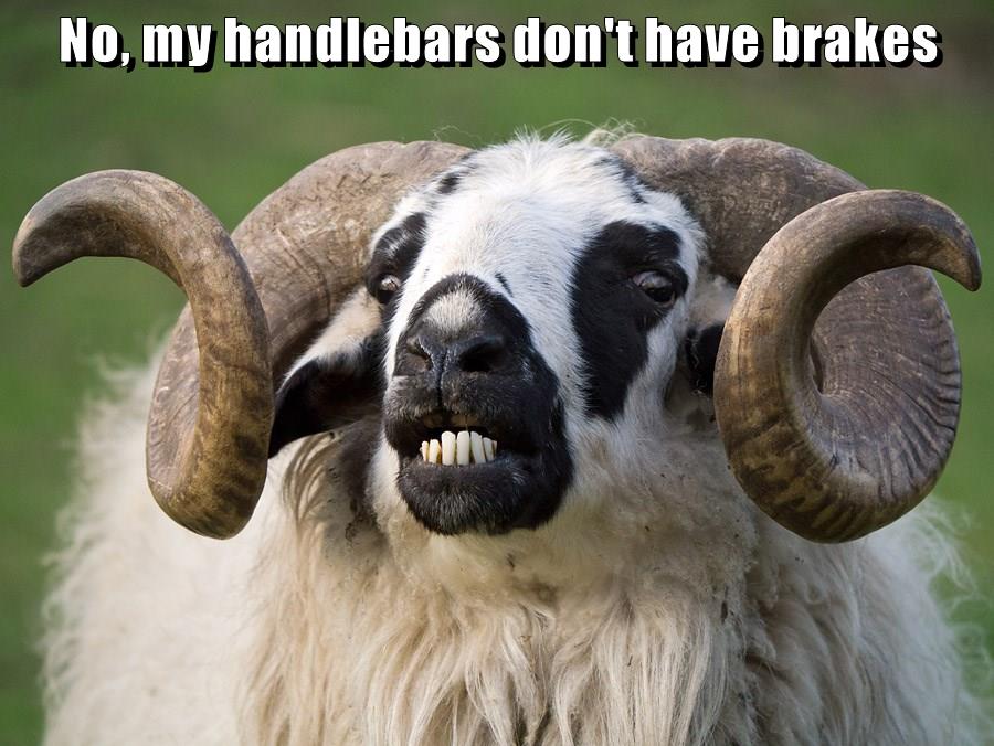 No, my handlebars don't have brakes - Animal Comedy - Animal Comedy ...