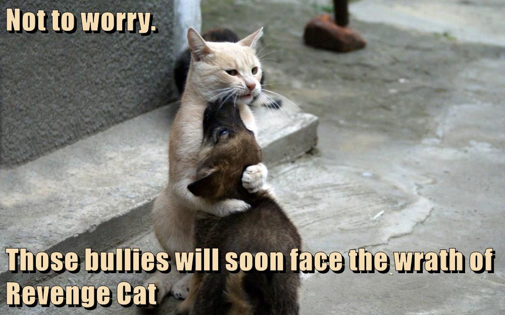 Lolcats - revenge - LOL at Funny Cat Memes - Funny cat pictures with ...