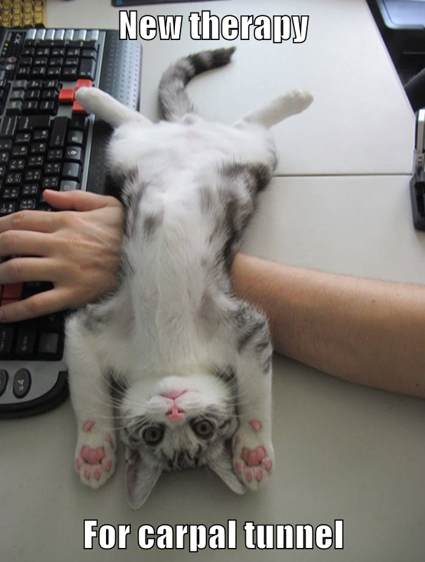 Lolcats - therapy - LOL at Funny Cat Memes - Funny cat pictures with ...