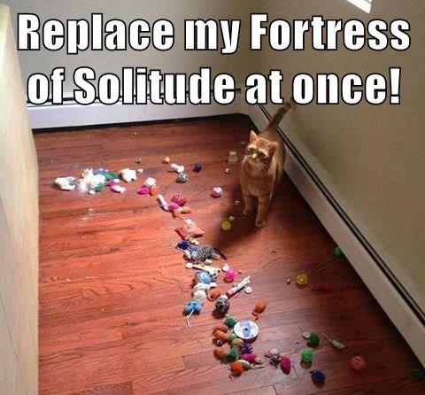 Lolcats - solitude - LOL at Funny Cat Memes - Funny cat pictures with ...
