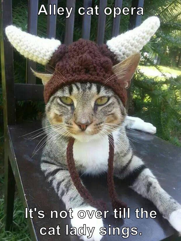 Lolcats - opera - LOL at Funny Cat Memes - Funny cat pictures with ...