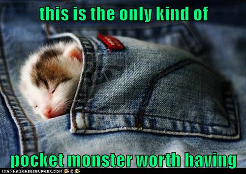 this is the only kind of pocket monster worth having - Lolcats - lol ...