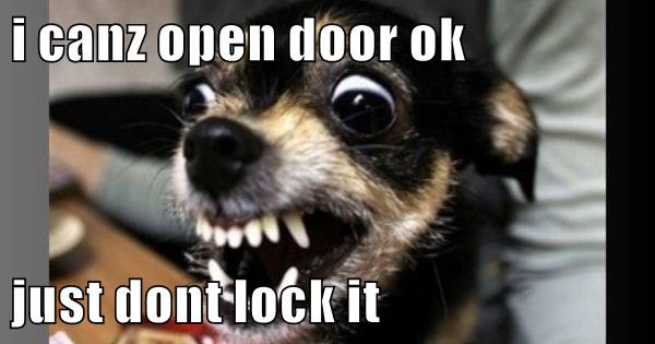 i canz open door ok just dont lock it - I Has A Hotdog - Dog Pictures ...