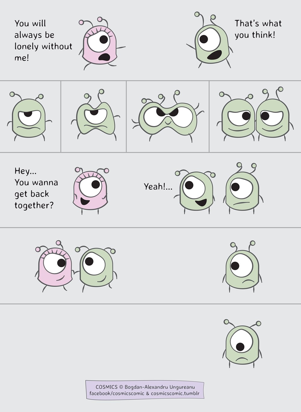Meiosis Comic Strip