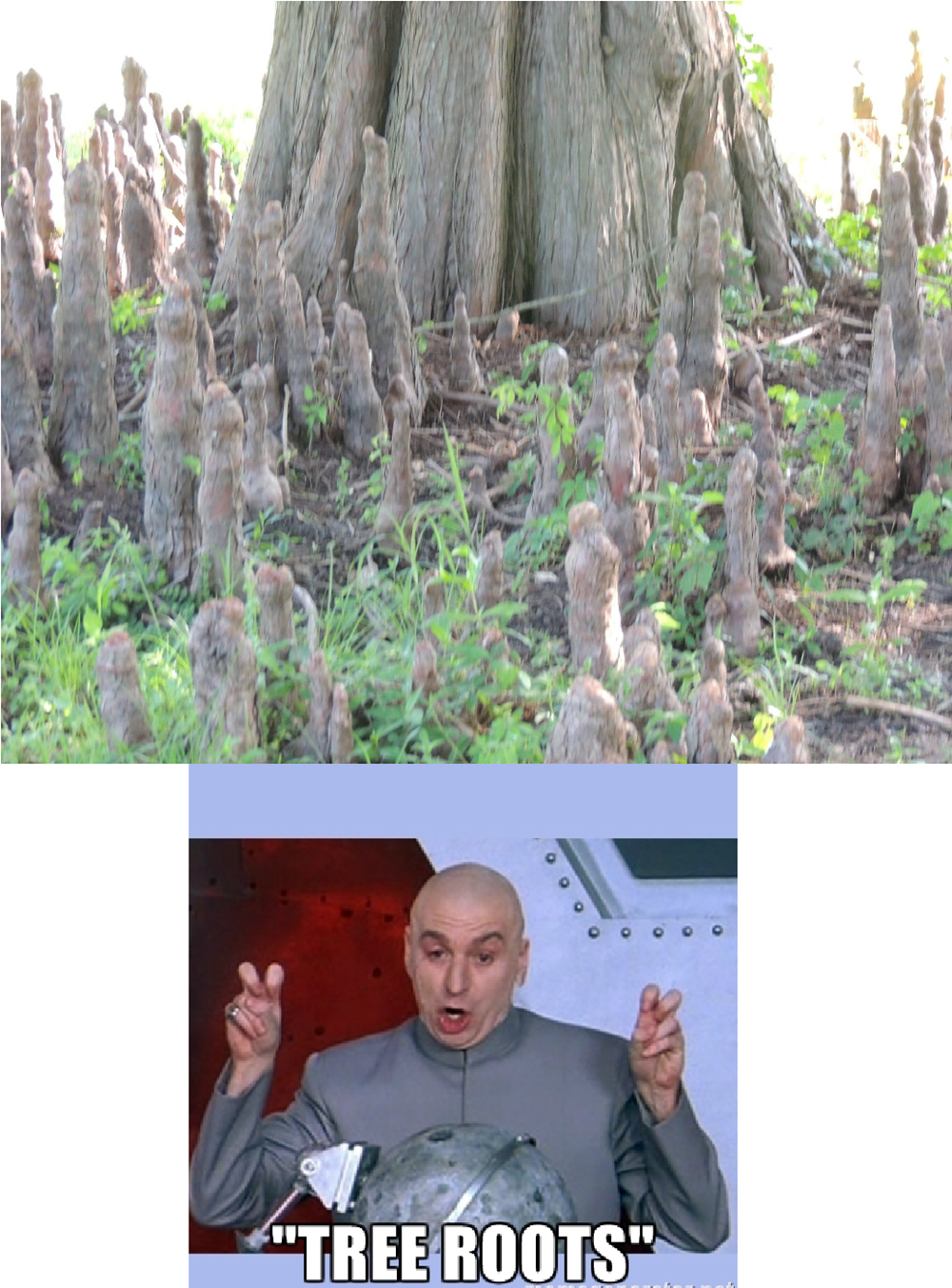 All Shapes and Sizes - Memebase - Funny Memes