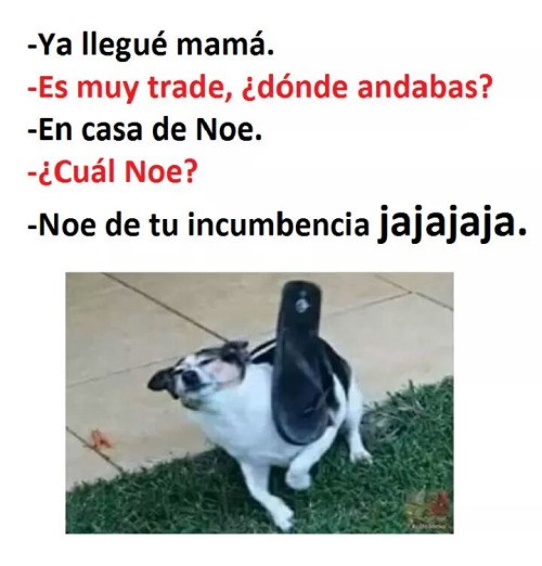 Muy chistoso... - Loquillo