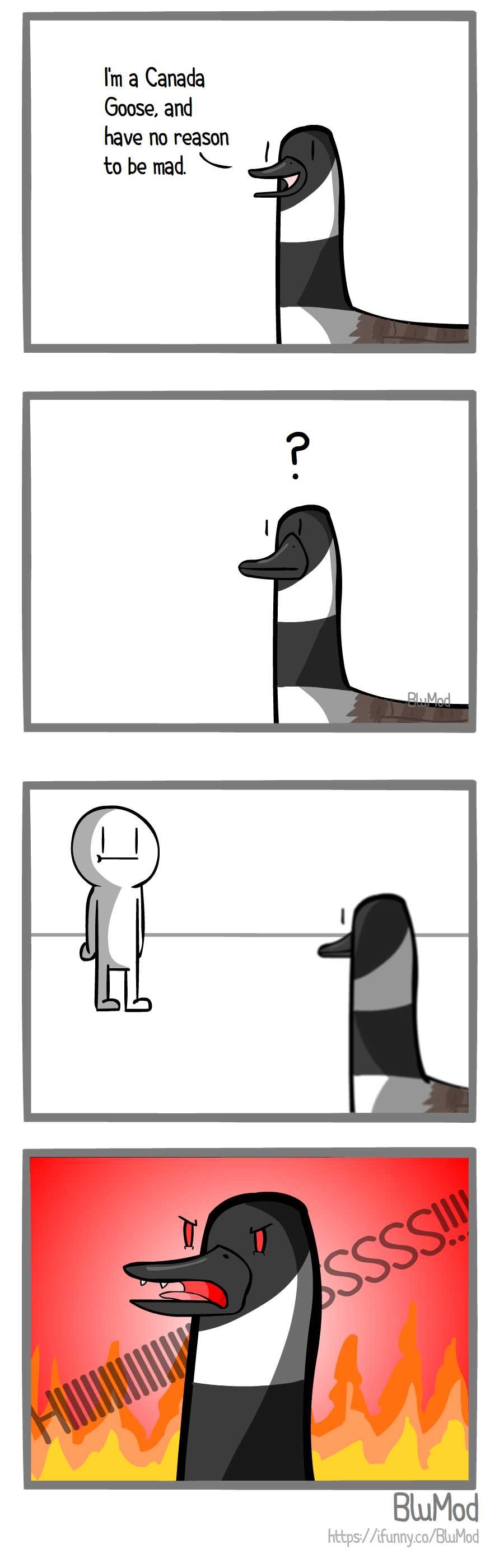 Memebase - goose - All Your Memes In Our Base - Funny Memes - Cheezburger