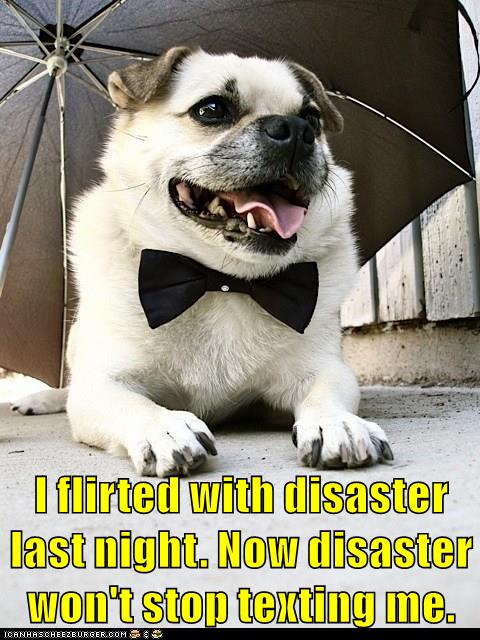 I flirted with disaster last night. Now disaster won't stop texting me ...
