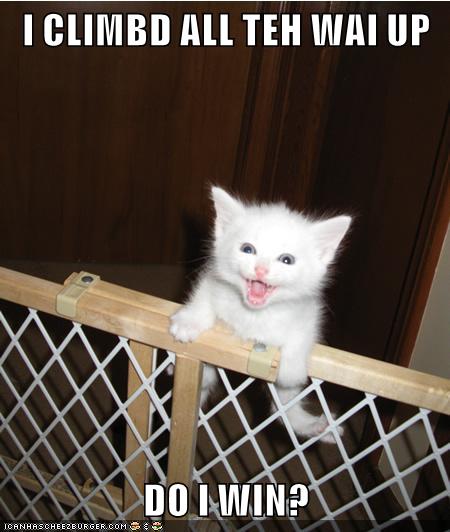 I CLIMBD ALL TEH WAI UP DO I WIN? - Lolcats - lol | cat memes | funny ...