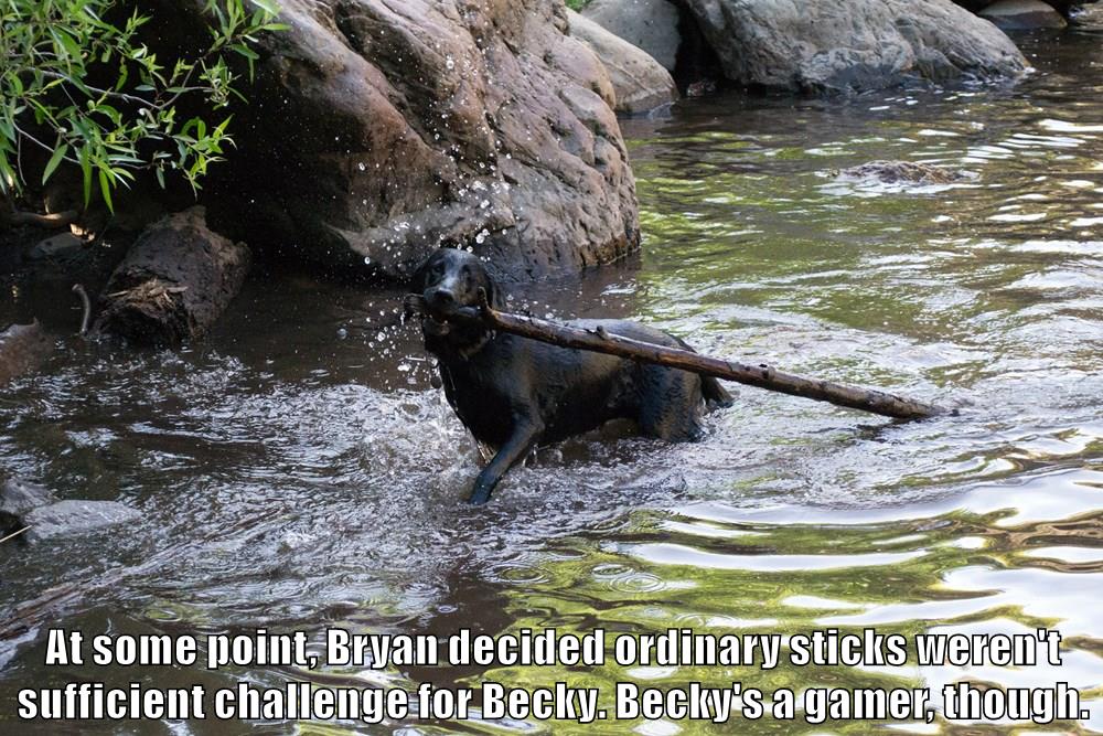 At some point, Bryan decided ordinary sticks weren't sufficient ...