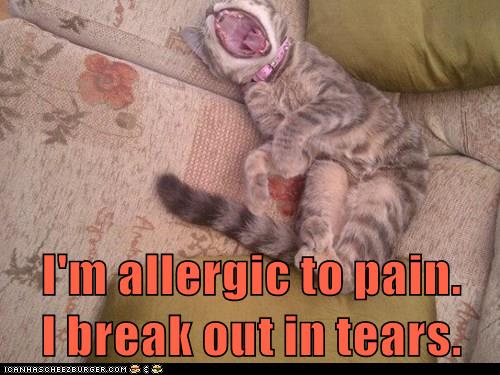 I'm allergic to pain - Lolcats - lol | cat memes | funny cats | funny ...