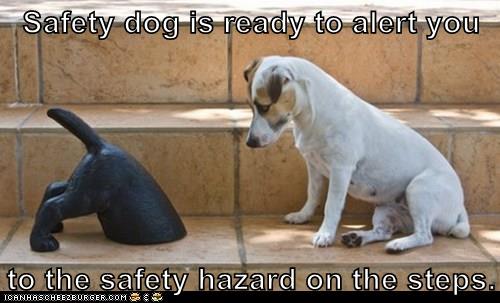 Safety dog is ready to alert you to the safety hazard on the steps. - I ...