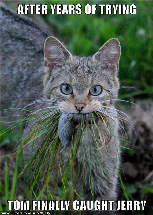AFTER YEARS OF TRYING TOM FINALLY CAUGHT JERRY - Lolcats - lol | cat ...