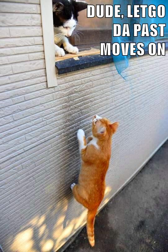DUDE, LETGO DA PAST MOVES ON - Lolcats - lol | cat memes | funny cats ...