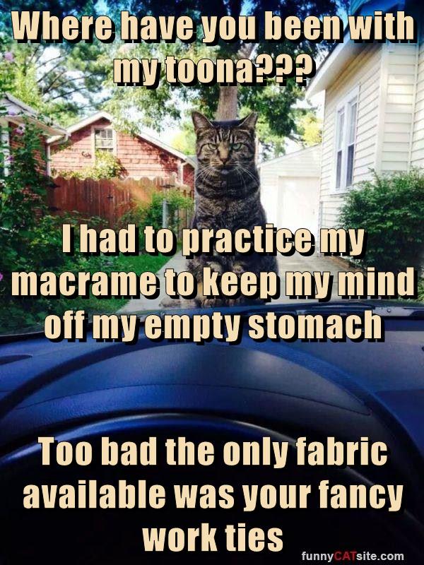 Where have you been with my toona??? I had to practice my macrame to ...