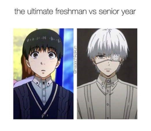 Cartoons & Anime - tokyo ghoul - Anime and Cartoon GIFs, Memes and ...