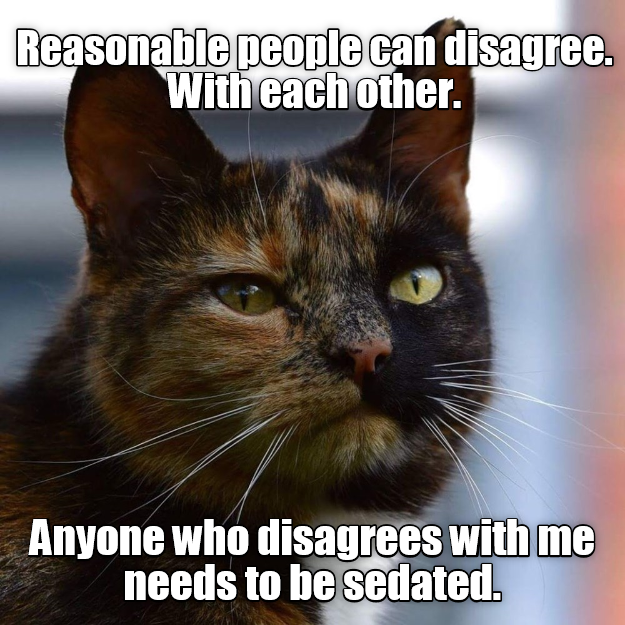 Reasonable cat is reasonably reasonable. - Lolcats - lol | cat memes ...