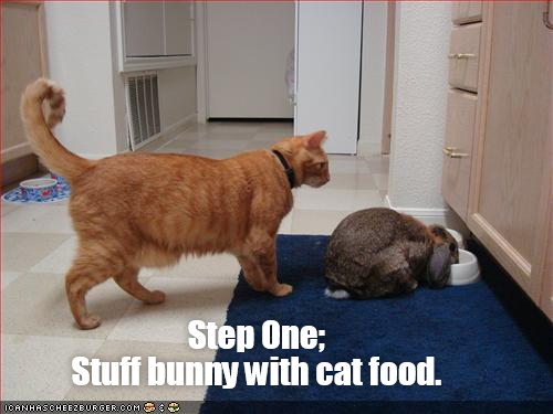 In the end it's all cat food... - Lolcats - lol | cat memes | funny ...