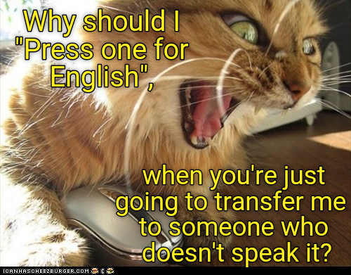 Lolcats - english - LOL at Funny Cat Memes - Funny cat pictures with ...