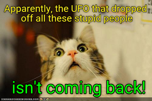 Nooooooooooo!!!!!! - Lolcats - lol | cat memes | funny cats | funny cat ...