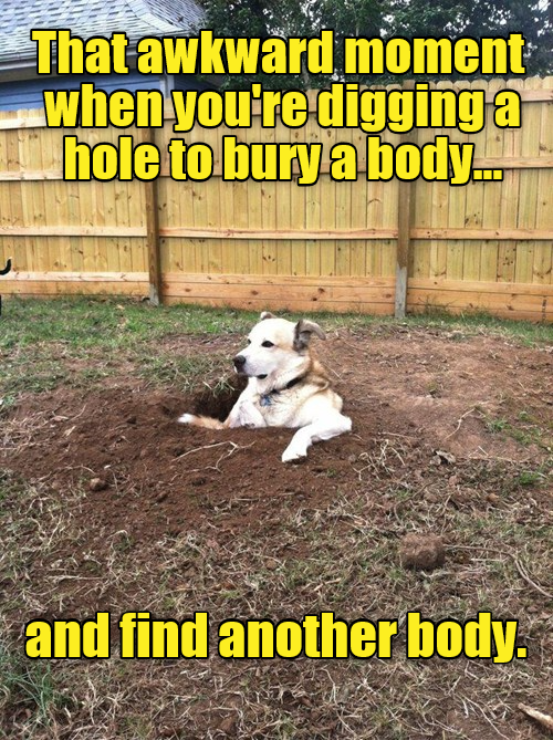 Really Awkward - I Has A Hotdog - Dog Pictures - Funny pictures of dogs ...